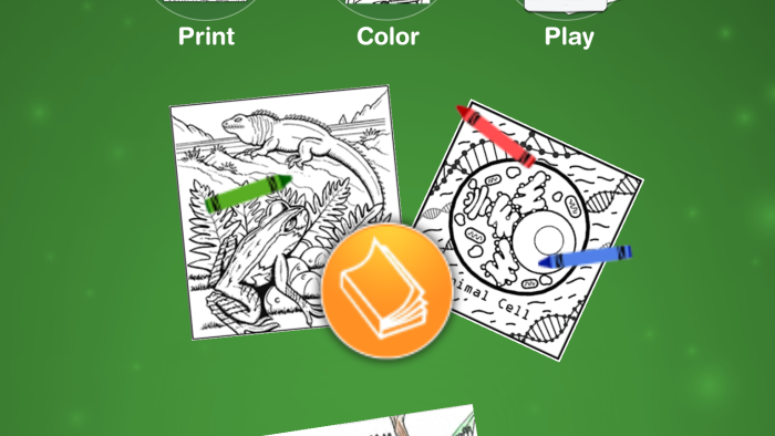 Quiver – 3D Coloring App – SVS VR